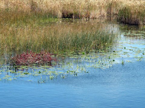 Photo Gallery of In and Around Merland Park - Merlandpark