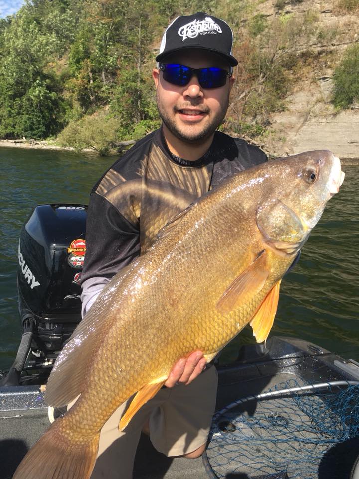 Fantastic Fishing Frenzy - Merland Park Cottages