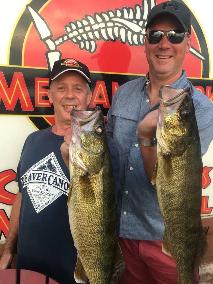 Fantastic Fishing Frenzy - Merland Park Cottages